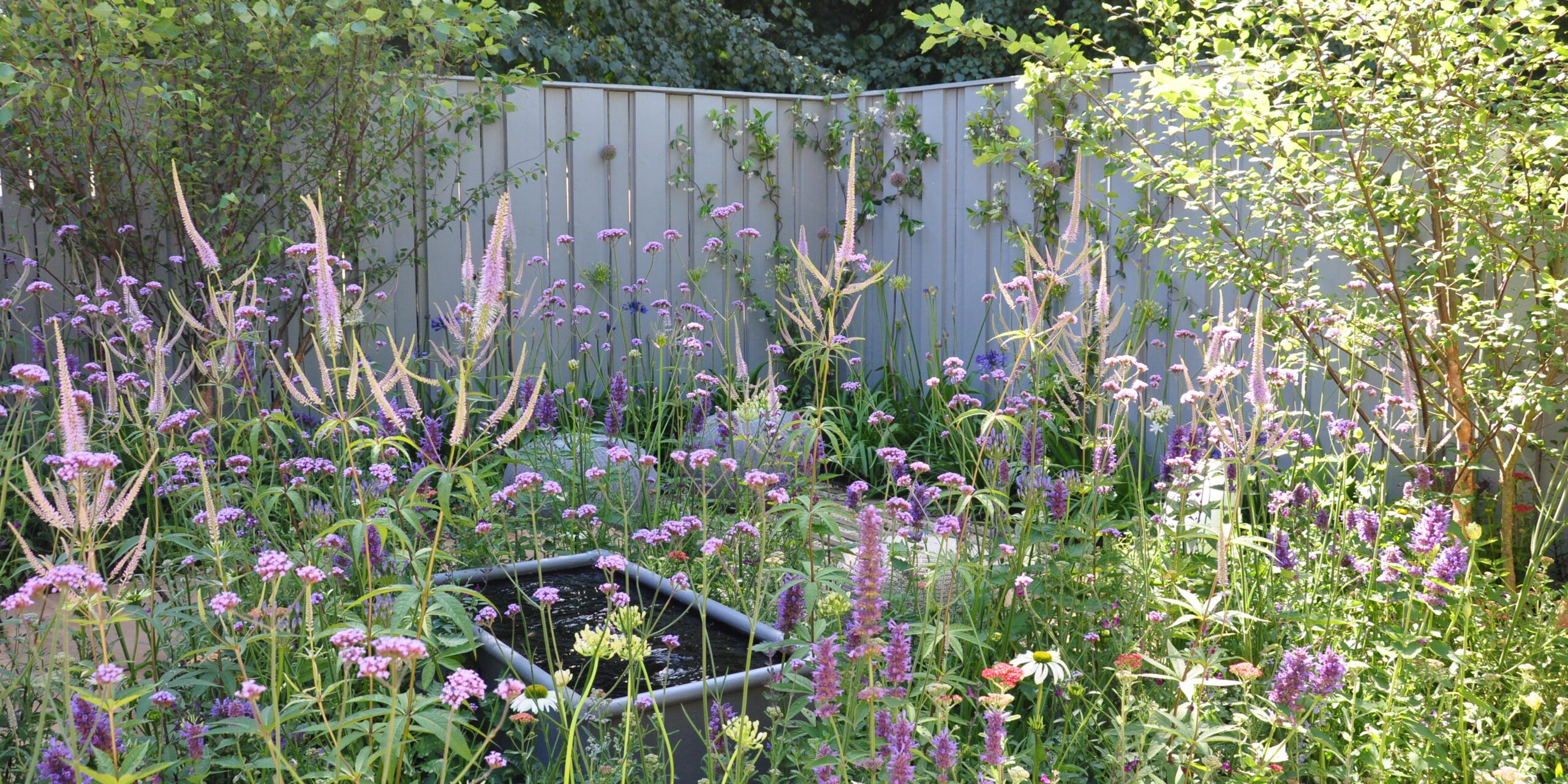 Een wild experiment: laat het maar groeien in de tuin! - Duurzaam Capelle